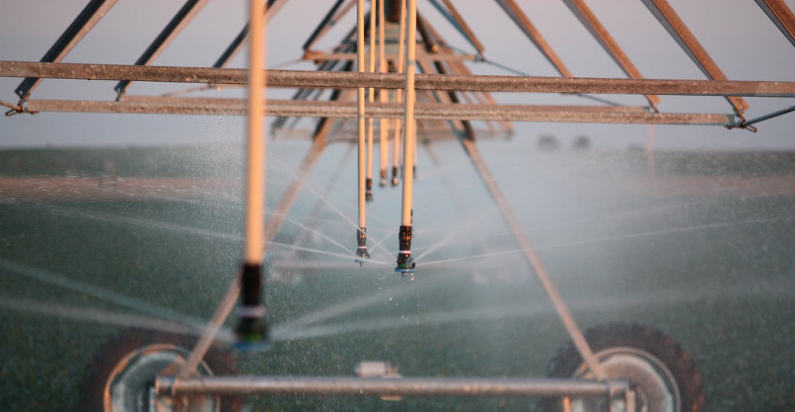 5 Things Dealers Look at When Designing Your Sprinkler Package
